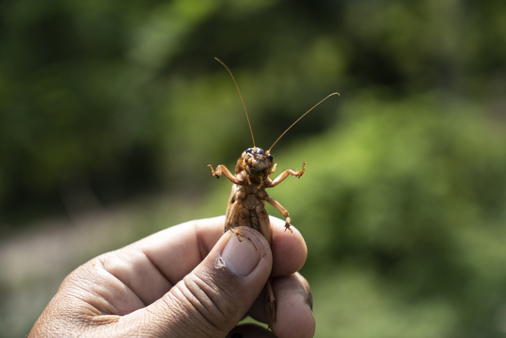 State after state announces records tax cuts but crickets in Washington