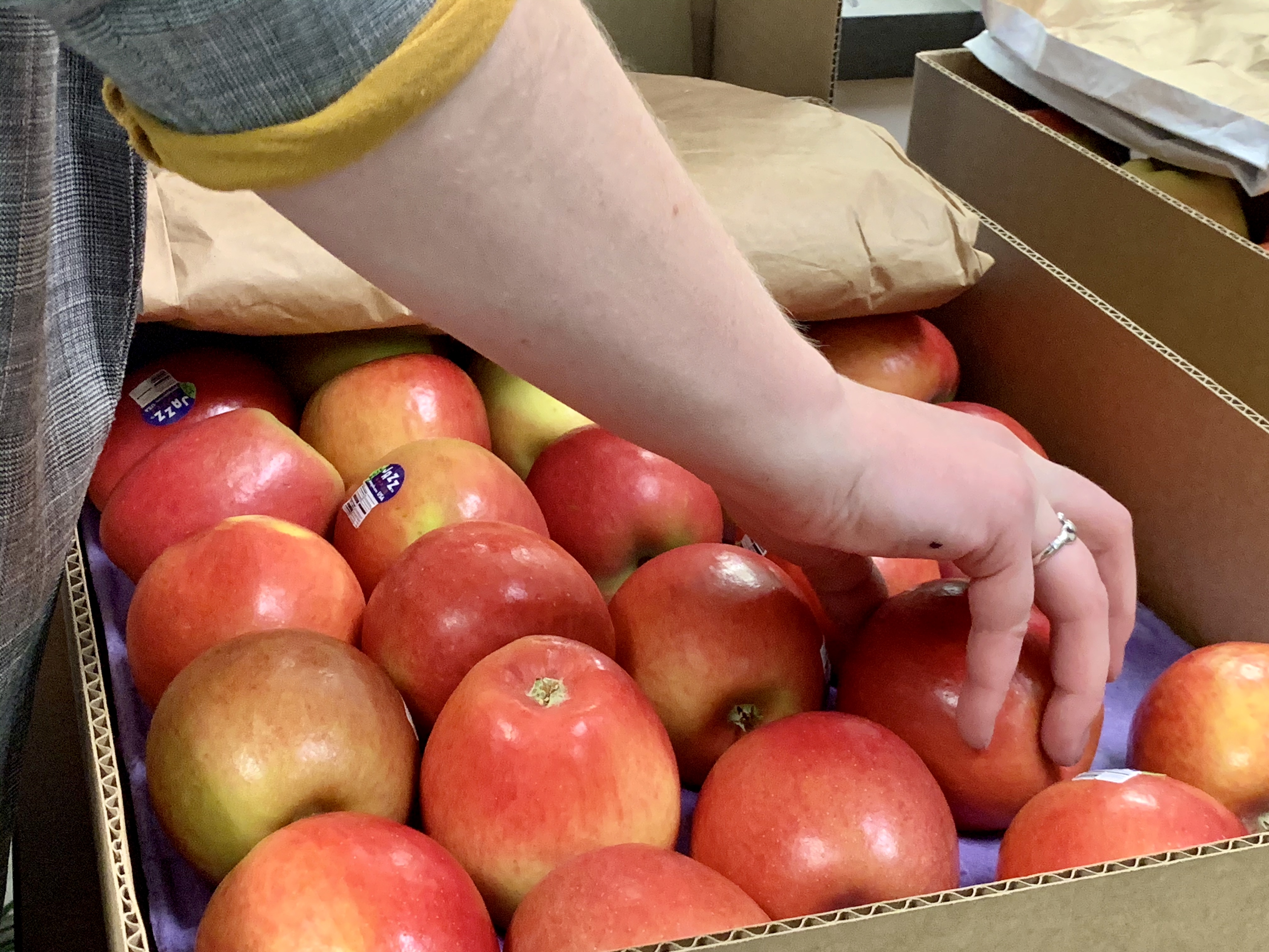 Farm Hall Discusses Apple Crunch